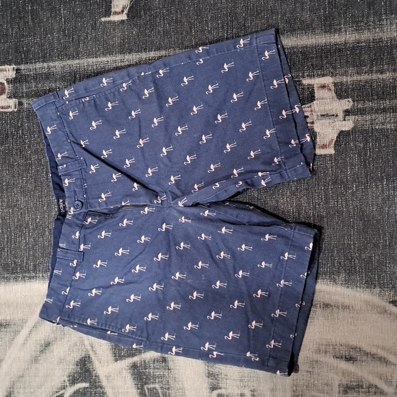J Crew Gramercy Shorts